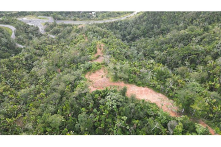 Saltillo Puerto Rico, Venta Bienes Raíces Adjuntas Puerto Rico, Real ...