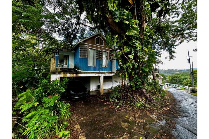 Caimito Bajo Puerto Rico, Venta Bienes Raíces San Juan - Río Piedras ...