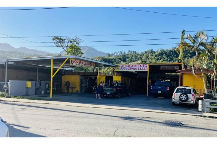 Santa Clara Puerto Rico, Bienes Raices Santa Clara Real Estate Jayuya ...