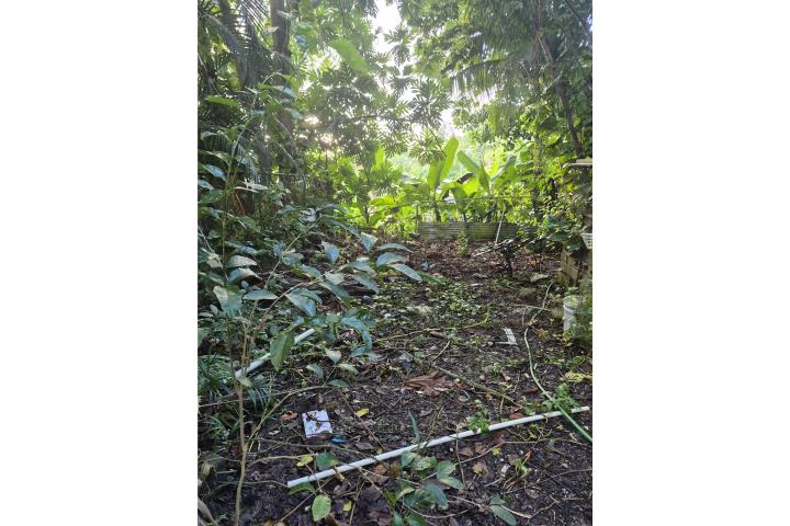 San Jose Puerto Rico, Venta Bienes Raíces Toa Baja Puerto Rico, Real ...