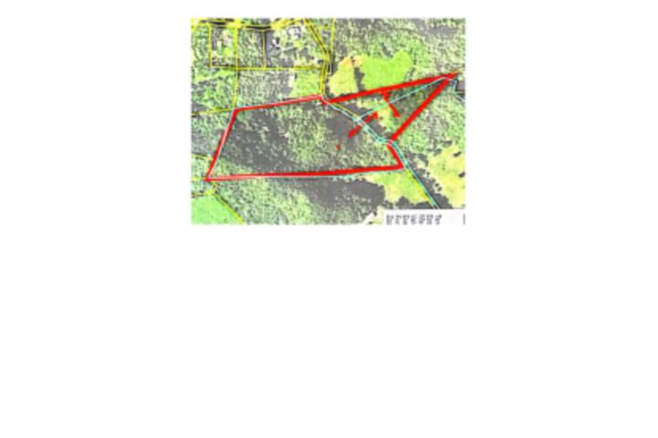 Barrio-Arrozal, Arecibo Puerto Rico