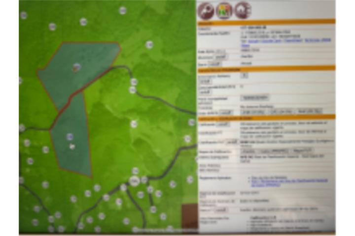 Barrio-Arrozal, Arecibo Puerto Rico