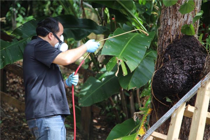 CONTROL DE PLAGAS Y COMEJEN! Area Todos/All,Puerto Rico, TU FUMIGADOR